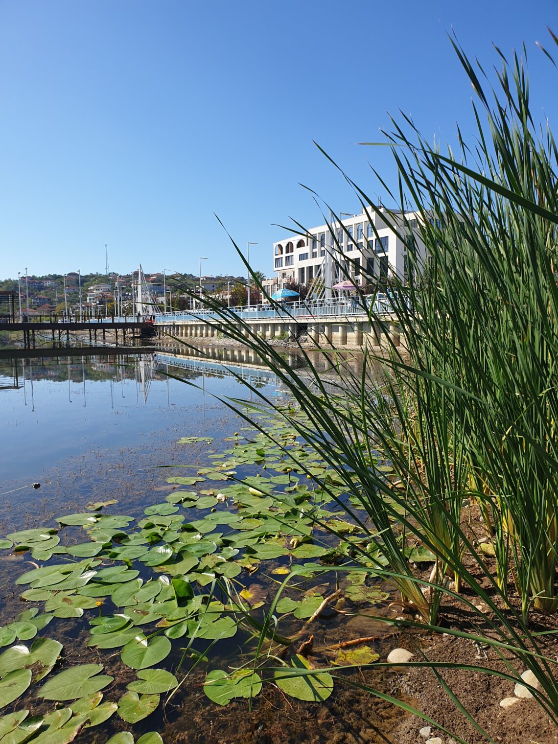 Belsh: A Tranquil Oasis in Albania’s Heartland – Albania Trips
