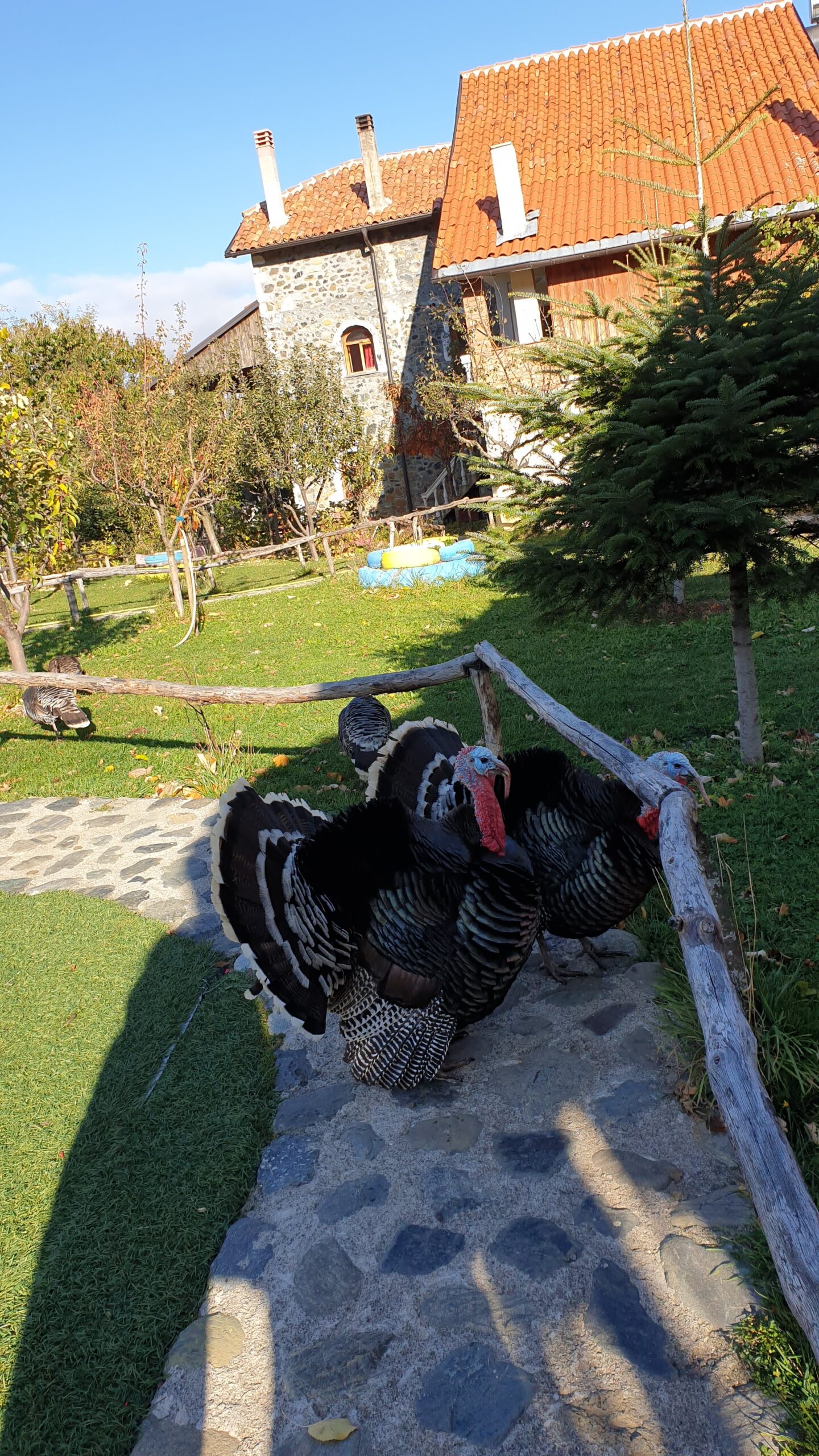 Puka: the Charms of Northern Albania – Albania Trips